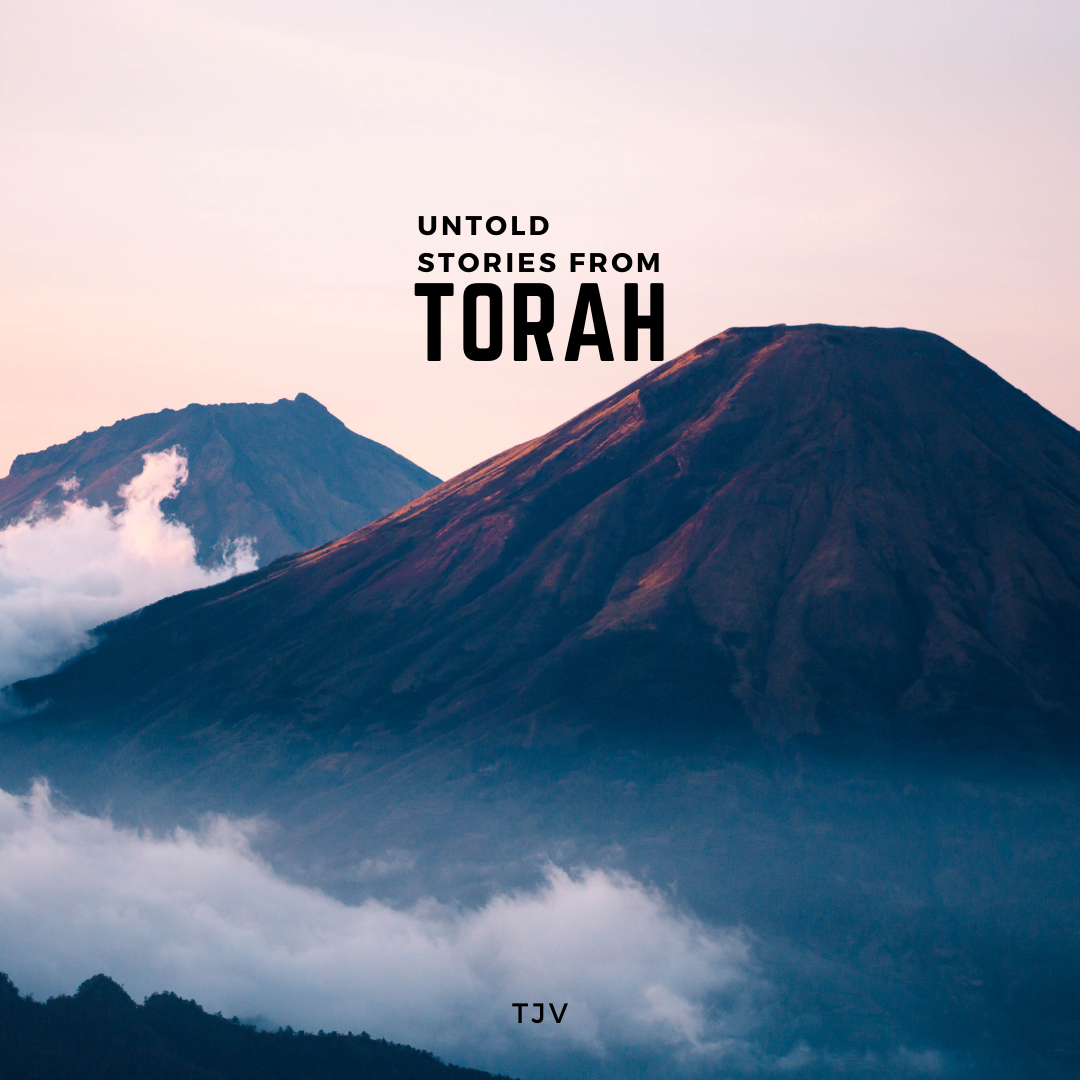 Balaam and the Case of the Talking Donkey – The Jordan Valley